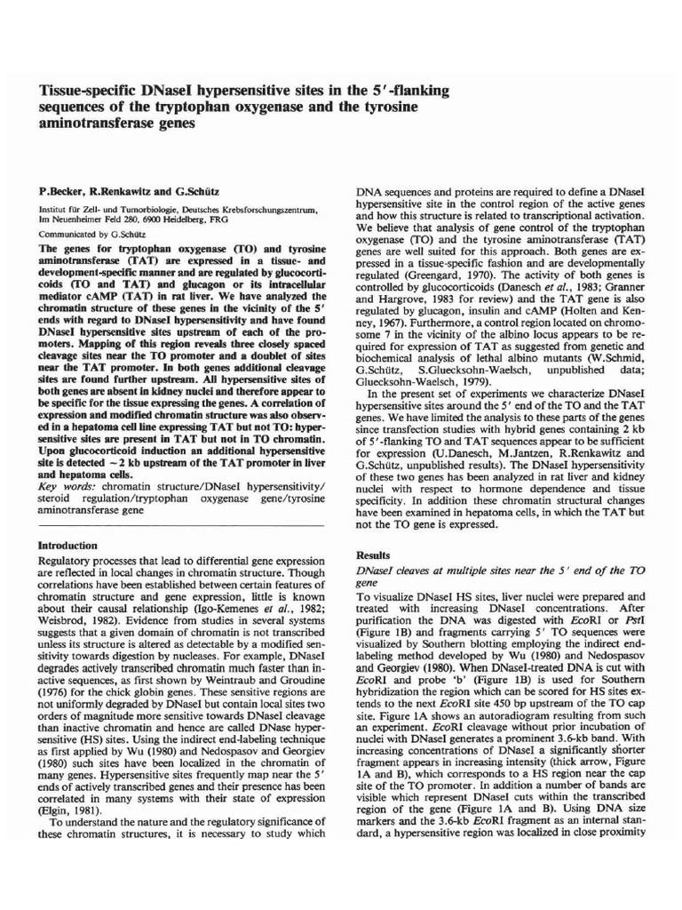 Dnasel Hypersensitive Sites The 5' - Flanking Sequences of The ...