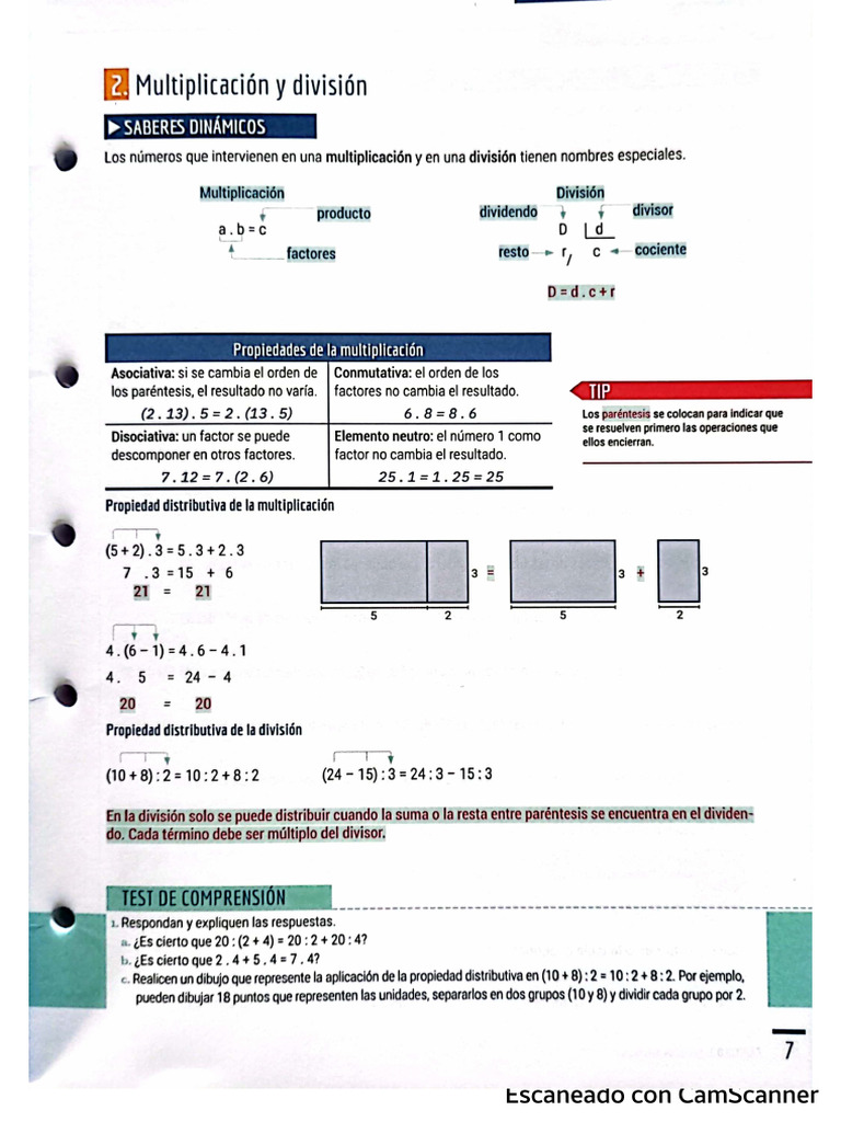 Cap-Tulo 1 Matem-Tica 1 Din-Mica | PDF