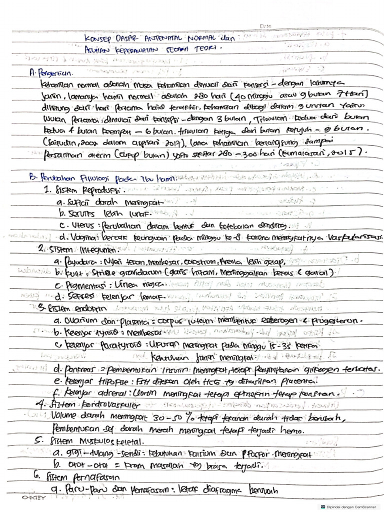 Konsep Dasar Antenal Normal Dan Askep Se | PDF