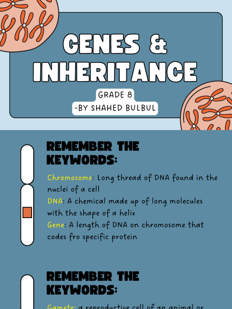 Genes And Inheritance Pdf Sex Gene