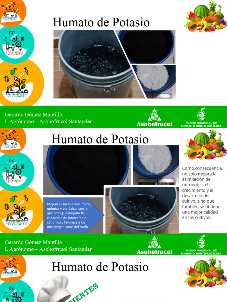 Humato de Potasio: Beneficios y Composición | PDF | Química ...