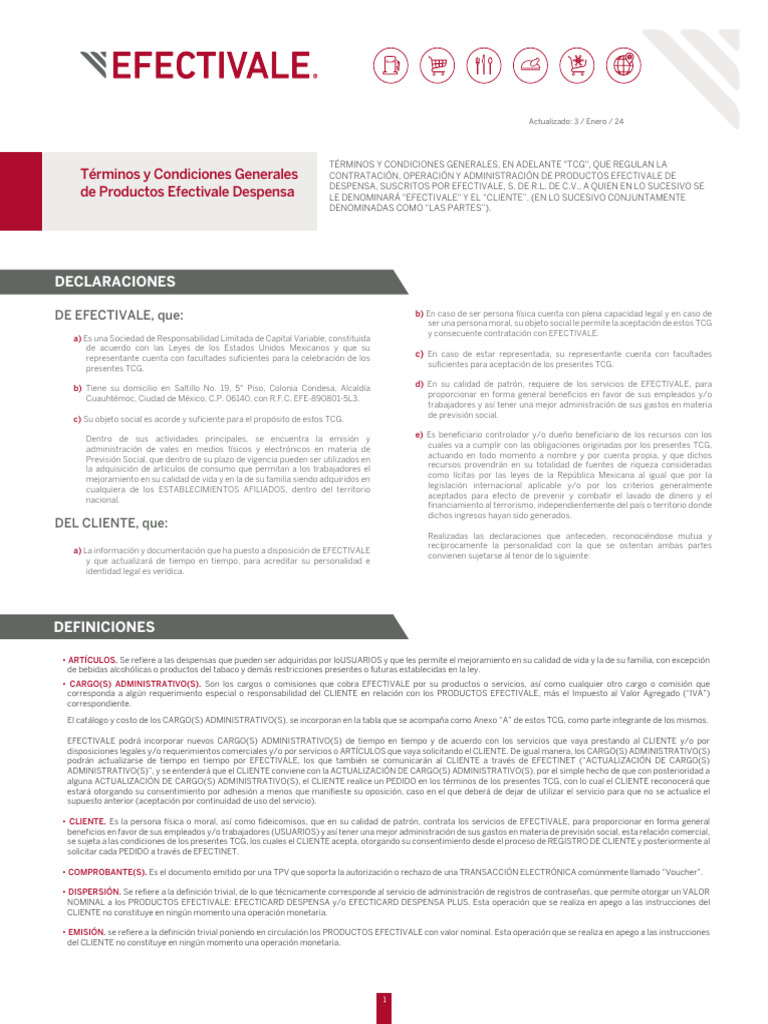 Términos y Condiciones de Efectivale Despensa | PDF
