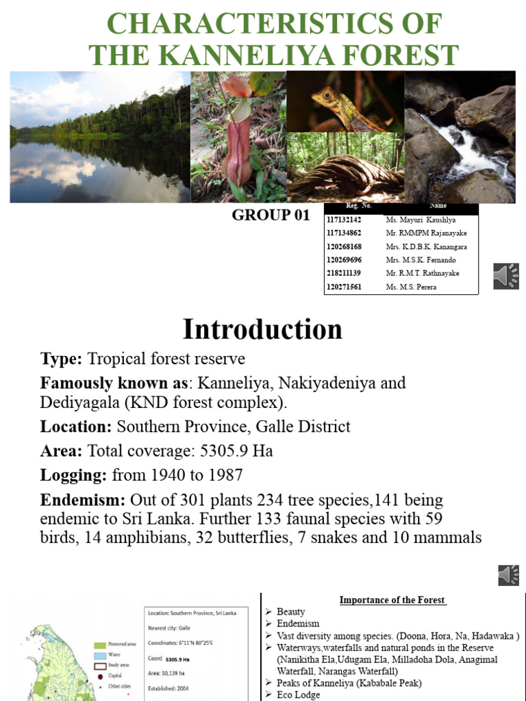 Group 01- Characteristics of Kanneliya Rain Forest | PDF | Canopy ...