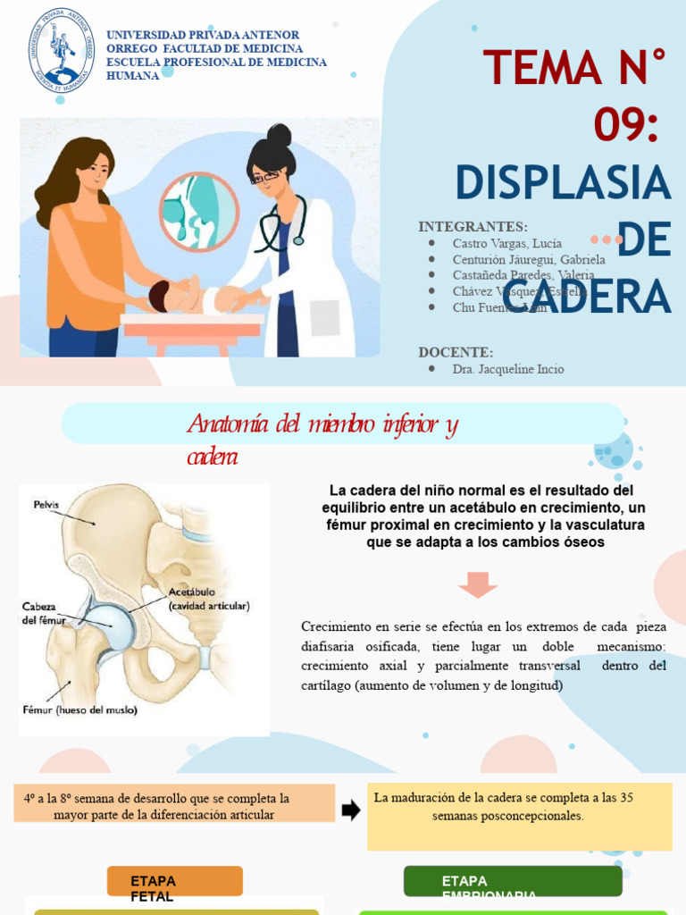 Displasia de Cadera: Anatomía y Diagnóstico | PDF | Pelvis | Rodilla