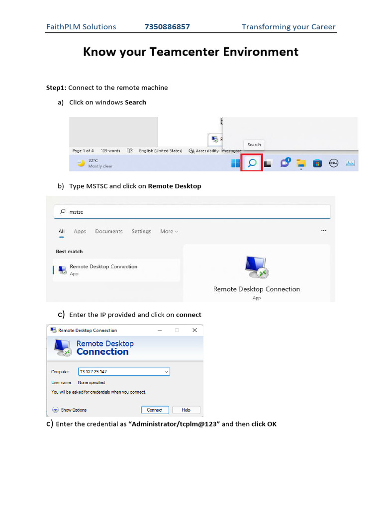 Teamcenter Client Setup Guide | PDF