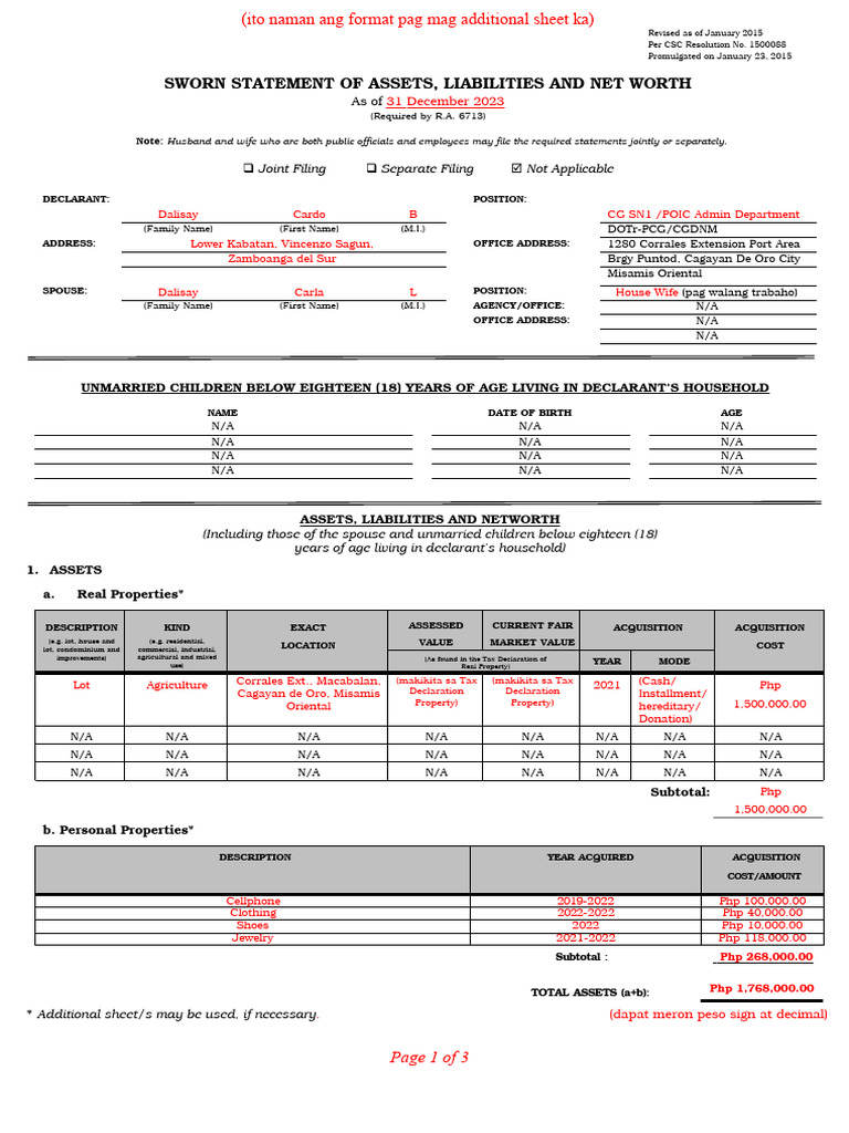 SALN 2023 SAMPLE for Additional Format | PDF | Financial Accounting | Money