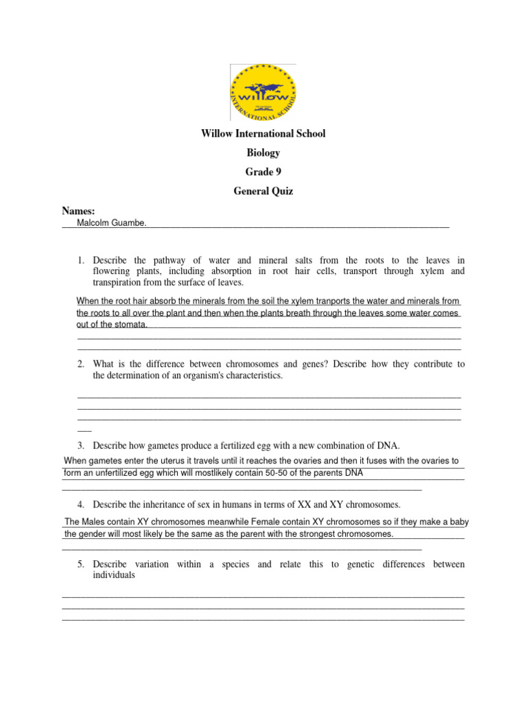 Grade 9 Bio Quiz Pdf Chromosome Photosynthesis
