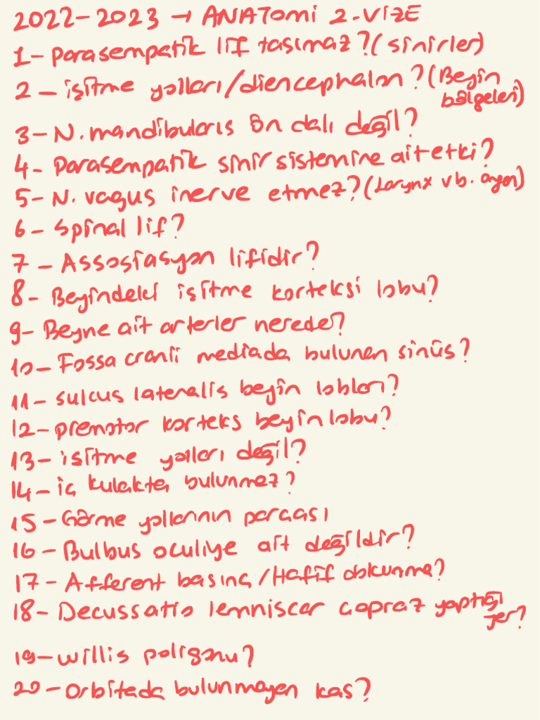 2022-2023 1 Anatomi 2-ViZE | PDF