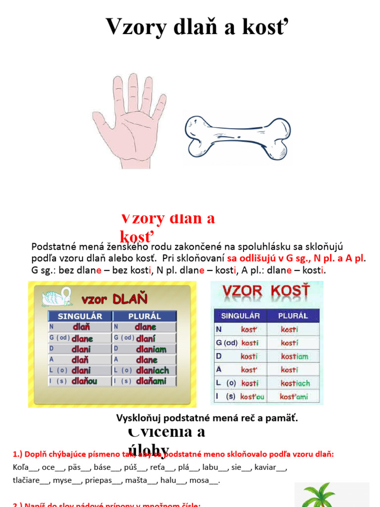 Vzory - Dlan - A - Kost (14) Zaza | PDF
