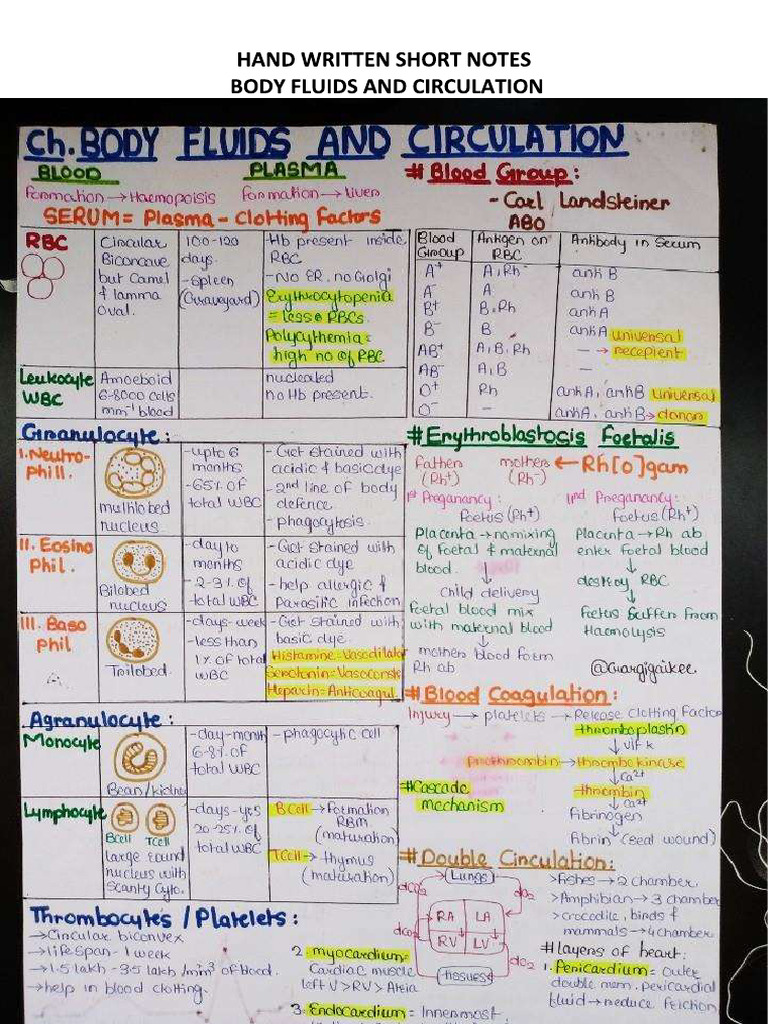 Body Fluids and Circulation Class 11th Chapter 18 | PDF
