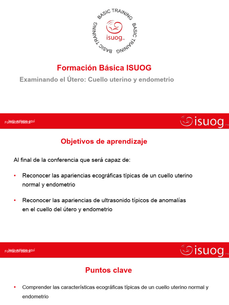 M2 Criterios IETA Ecografía de endometrio y cérvix ISUOG español | PDF ...