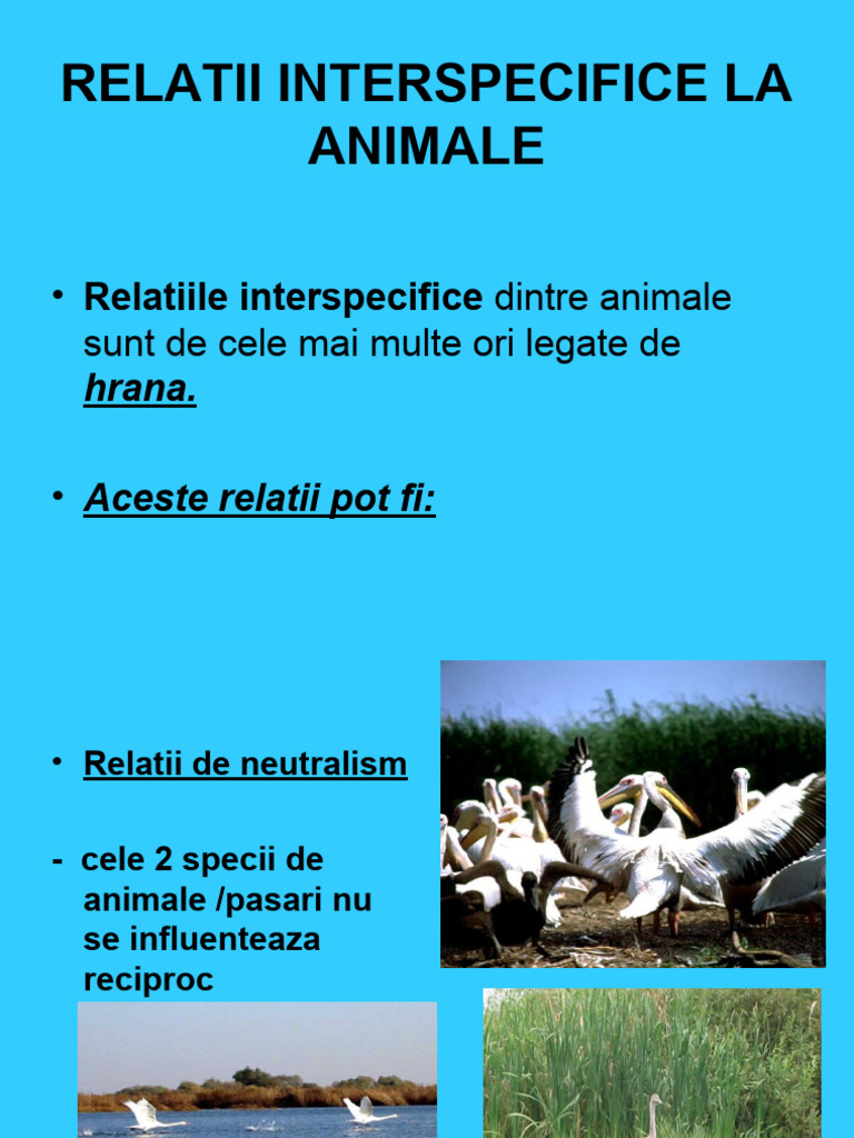 Relatii Intraspecifice Si Interspecifice | PDF