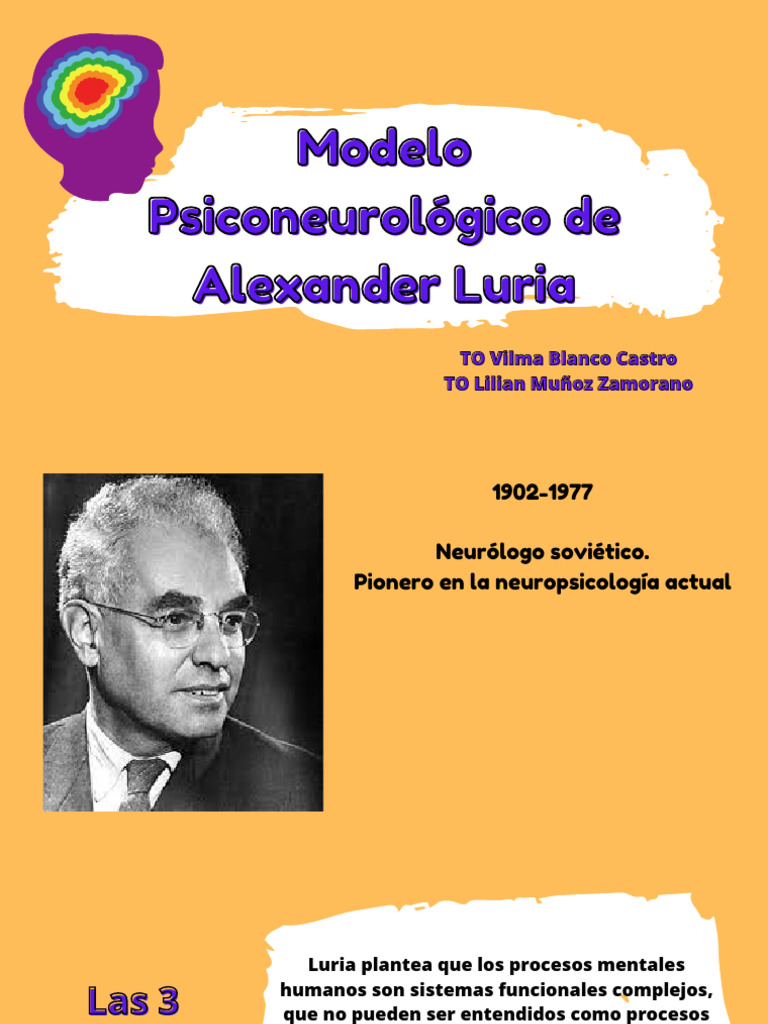 Modelo Psiconeurológico de Alexander Luria | PDF | Corteza cerebral | Cerebro