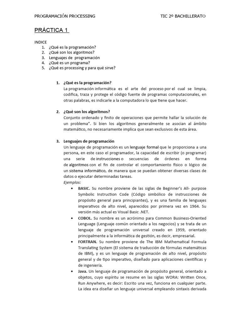 Processing-PRÃ - CTICA 1 | PDF | Lenguaje de programación | Programación de computadoras