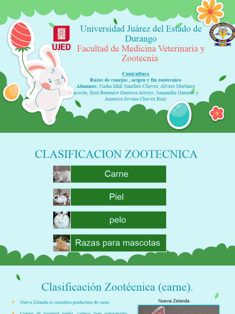 Razas de Conejos Editada | PDF | Piel | Zoología