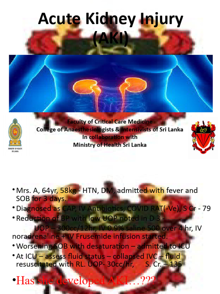 Understanding Acute Kidney Injury (AKI) | PDF | Medicine | Medical ...