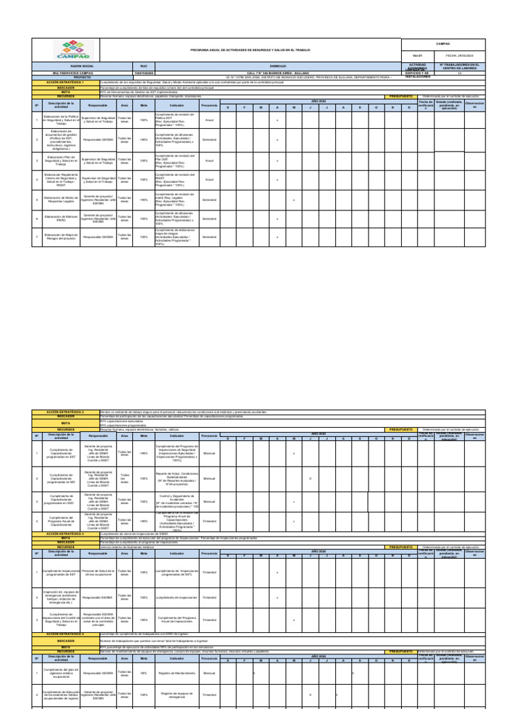 Programa Anual SST Ok | PDF | Seguridad y salud ocupacional | Presupuesto