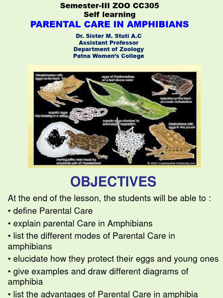 Zoo CC305 Parental Care in Amphibians | PDF | Frog | Egg