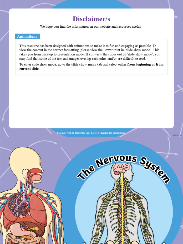 Za NST 1642788380 Systems in The Human Body Nervous System Powerpoint Ver 4 | PDF | Nervous ...