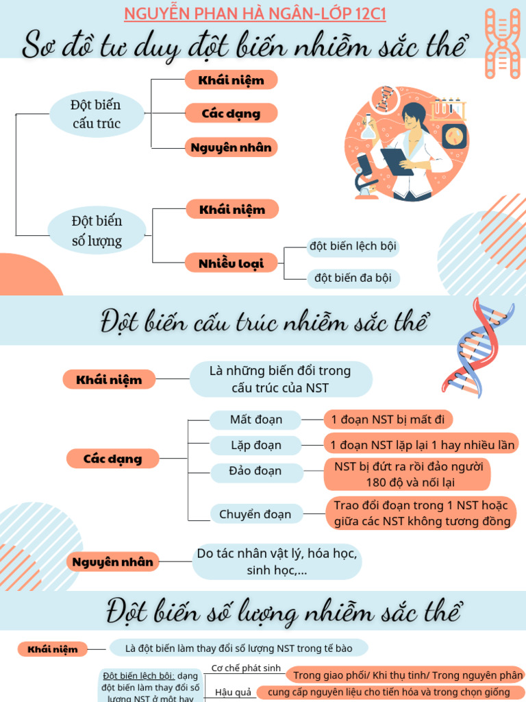 sơ đồ tư duy đột biến NST | PDF
