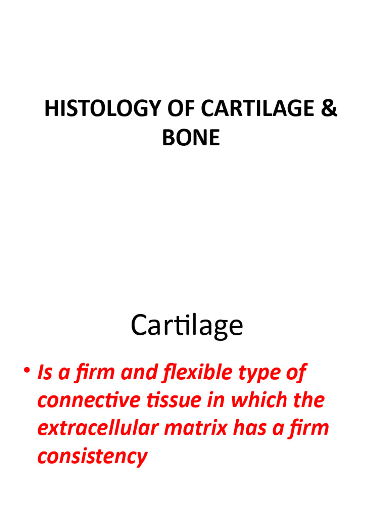 Cartilage& Bone | Download Free PDF | Bone | Cartilage