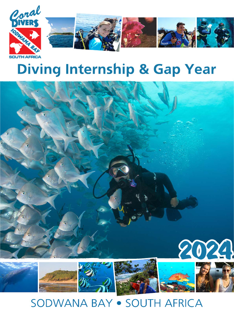 Internship Brochure 2024 | PDF | Scuba Diving | Underwater Diving
