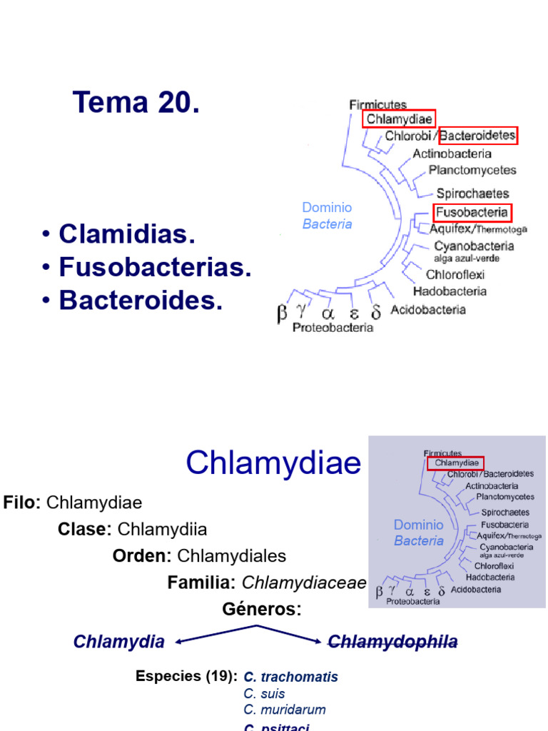 Tema 20 | PDF | Biología | Microbiología