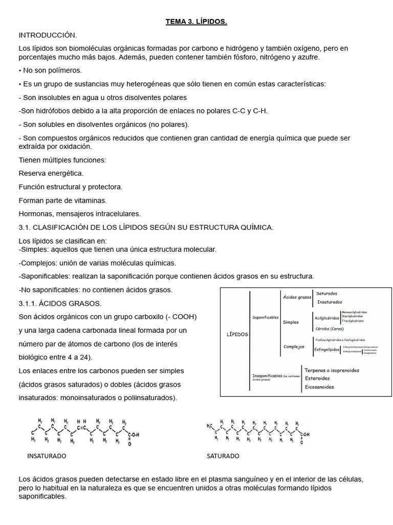 Tema 3. Lípidos | PDF | Lipoproteína | Lípido