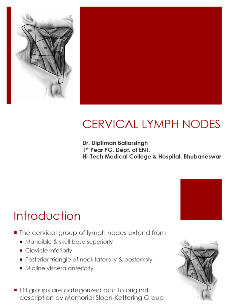 Cervical Lymph Nodes Pdf Neck Anatomy