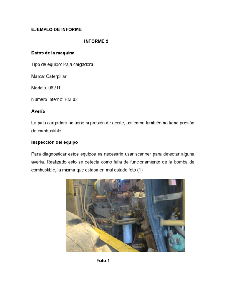 Ejemplo de Informe 1 | PDF