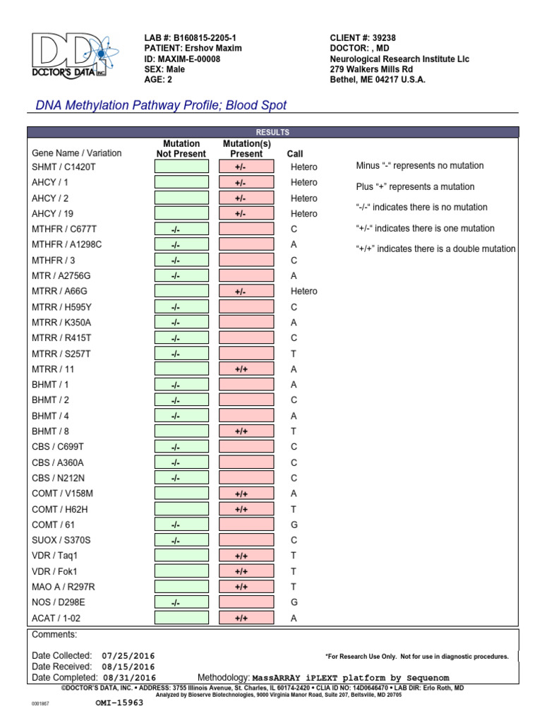 A.SNP Test Results B160815-2205-1 | PDF | Biochemistry | Chemistry