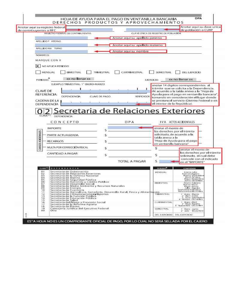 Instrucciones de Llenado | PDF