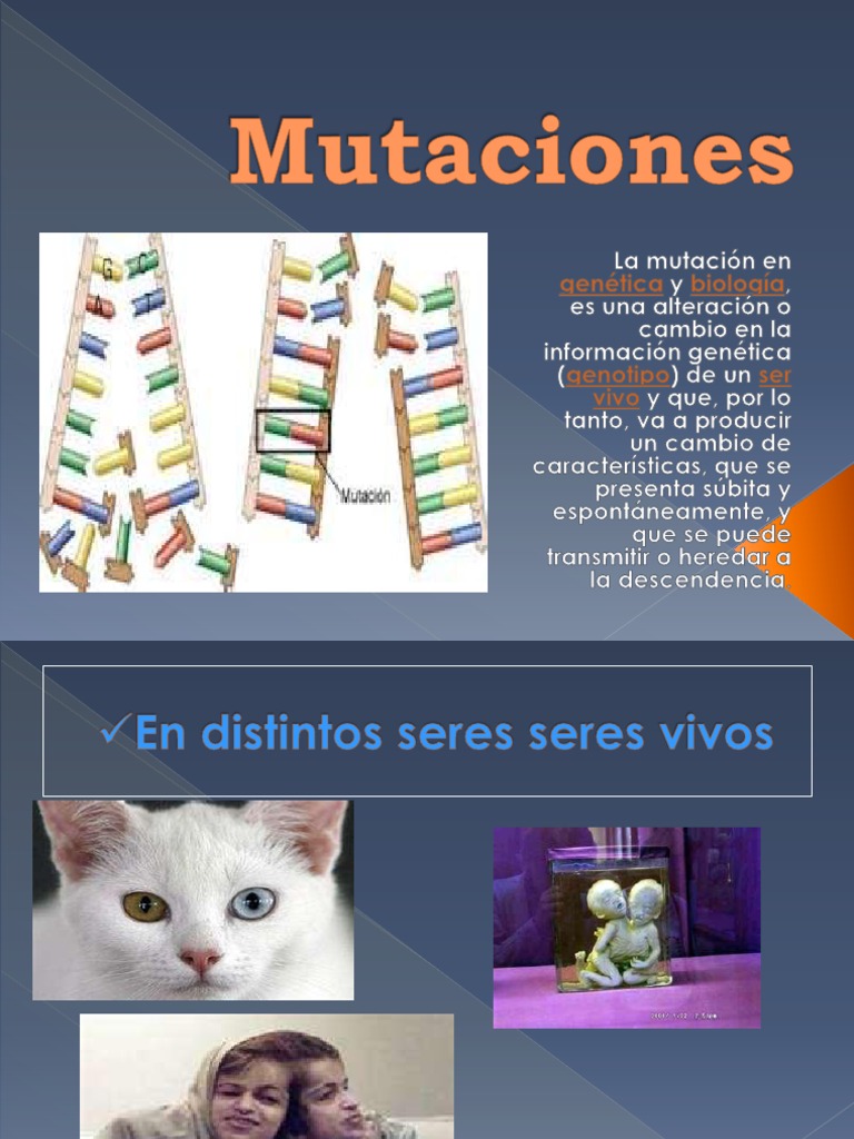 Tipos de Mutaciones Genéticas y Efectos | PDF | Mutación | Genética