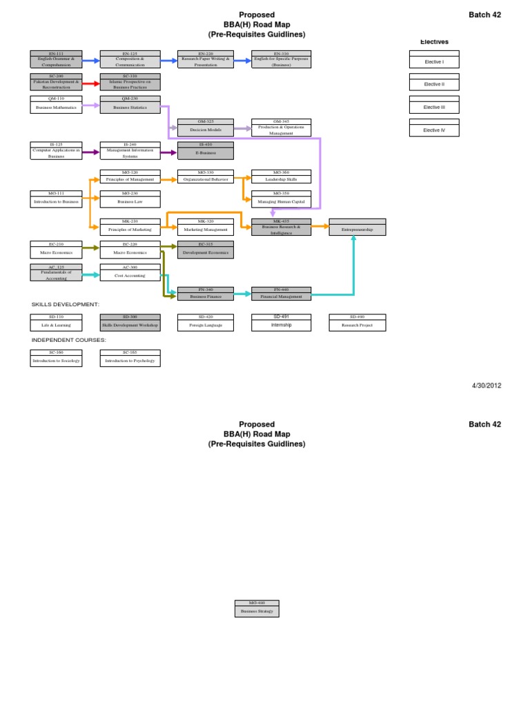 RoadMap BBA | PDF | Information System | Economics
