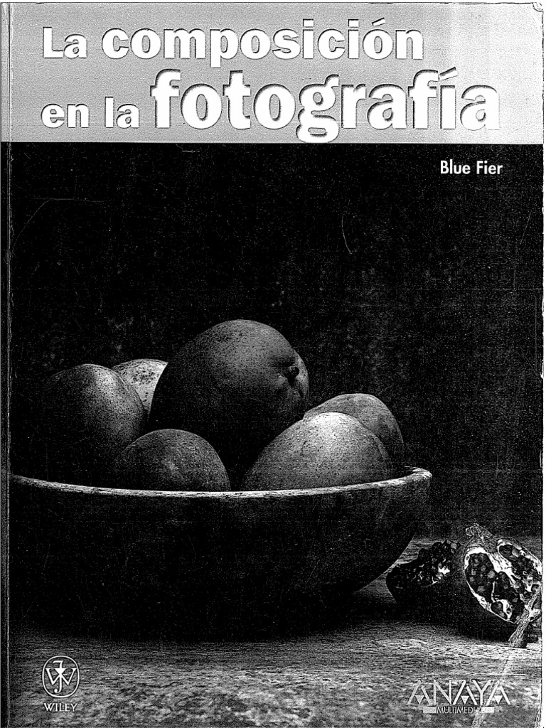 La Omposicion en La Fotografia - Blue Fier | PDF