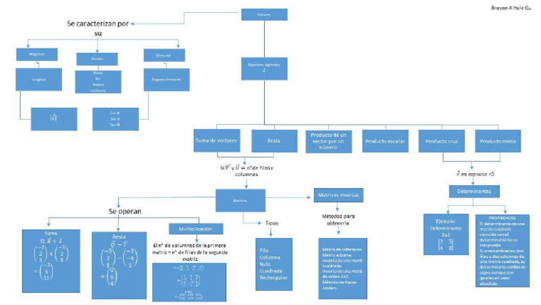 Mapa Conceptual Ejercicio 1 | Descargar gratis PDF | Matriz ...