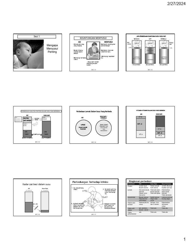 Microsoft PowerPoint - MENGAPA MENYUSUI PENTING (Compatibility Mode) - Opt | PDF
