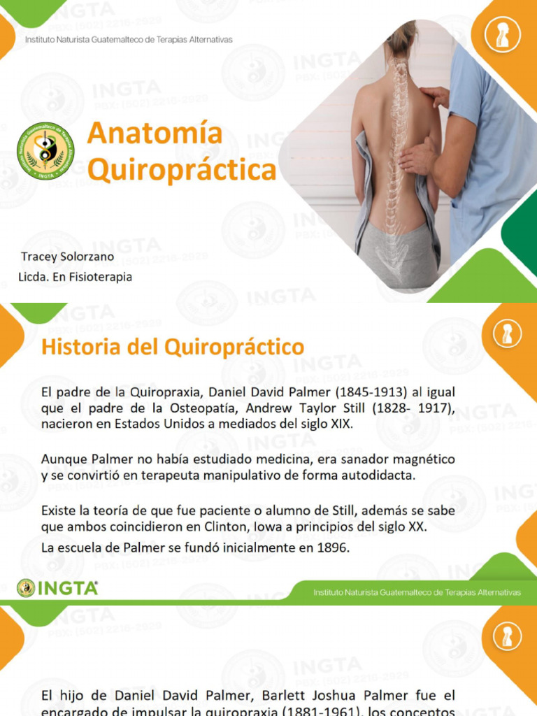 Quiropraxia Anatom-A. | PDF