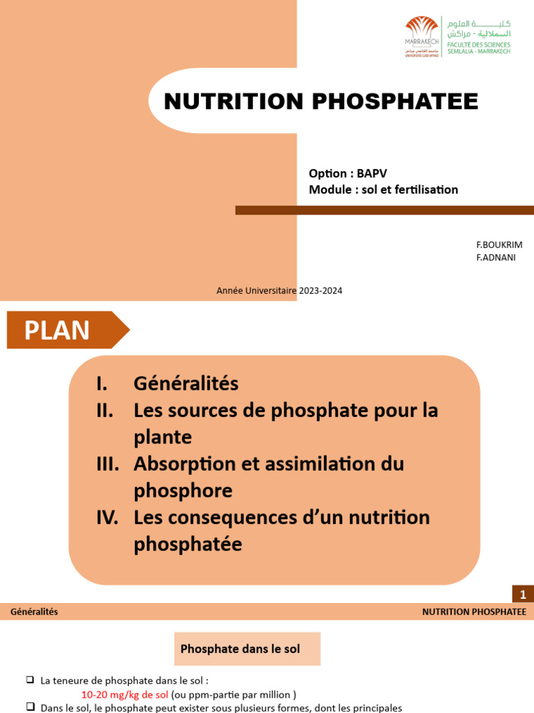 Rôle et Absorption du Phosphore dans le Sol | PDF | Phosphate | Sol ...