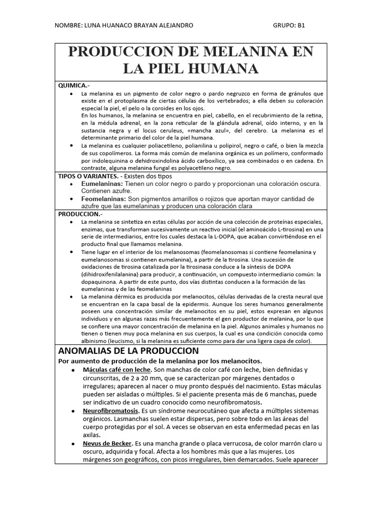Produccion de Melanina en La Piel Humana | PDF | Piel | Sistema ...