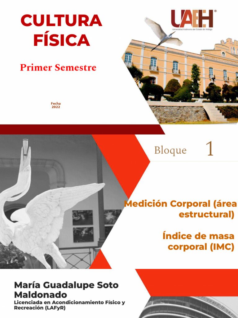 Medicion Corporal | PDF | Índice de masa corporal | Obesidad