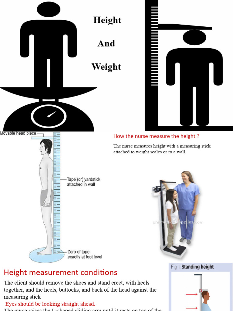 Height and Weight | PDF