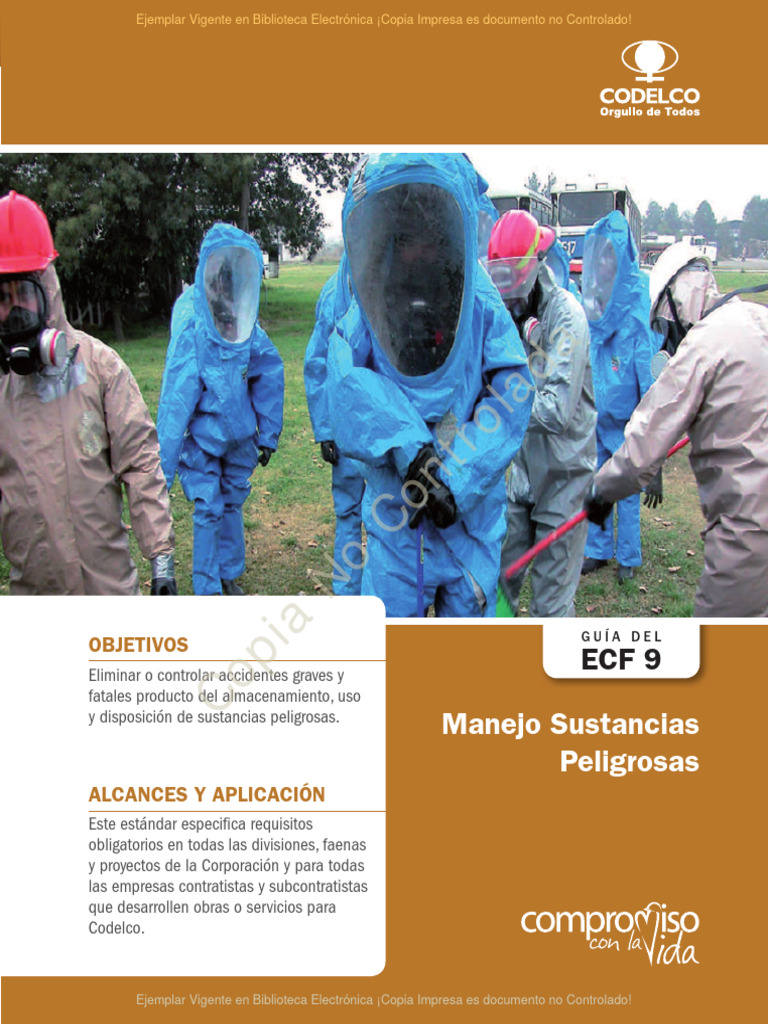 Manejo Seguro de Sustancias Peligrosas | PDF | Transporte | Electrónica