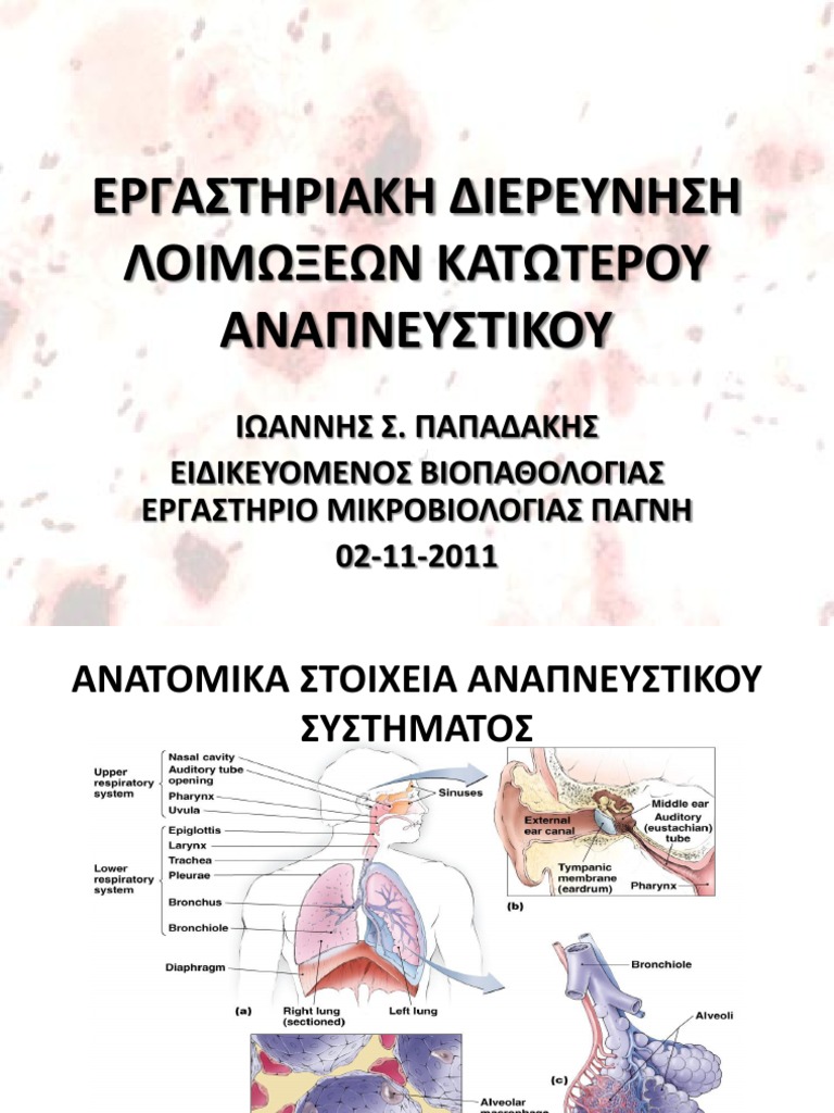 ΕΡΓΑΣΤΗΡΙΑΚΗ ΔΙΕΡΕΥΝΗΣΗ ΛΟΙΜΩΞΕΩΝ ΚΑΤΩΤΕΡΟΥ ΑΝΑΠΝΕΥΣΤΙΚΟΥ | PDF