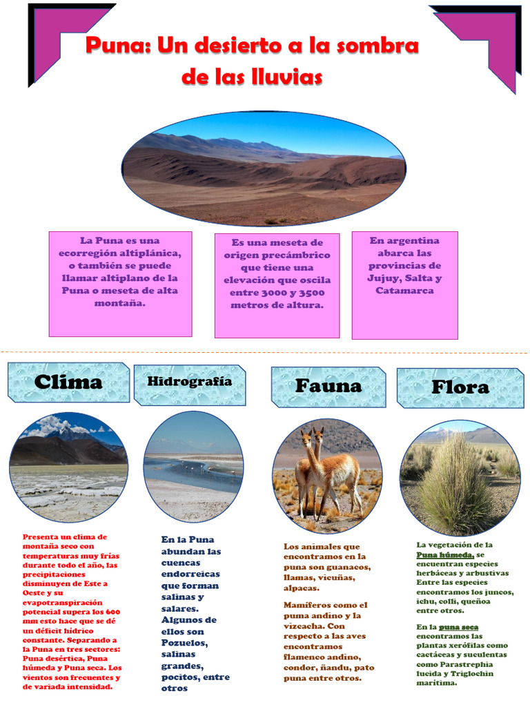Infografia Puna Argentina | PDF | Ciencias de la Tierra | Geografía Física