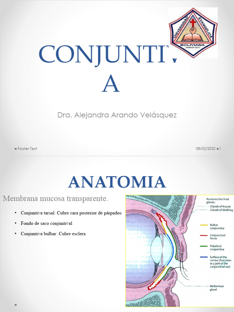 Anatomía y Patologías de la Conjuntiva | PDF | Alergia | Inflamación