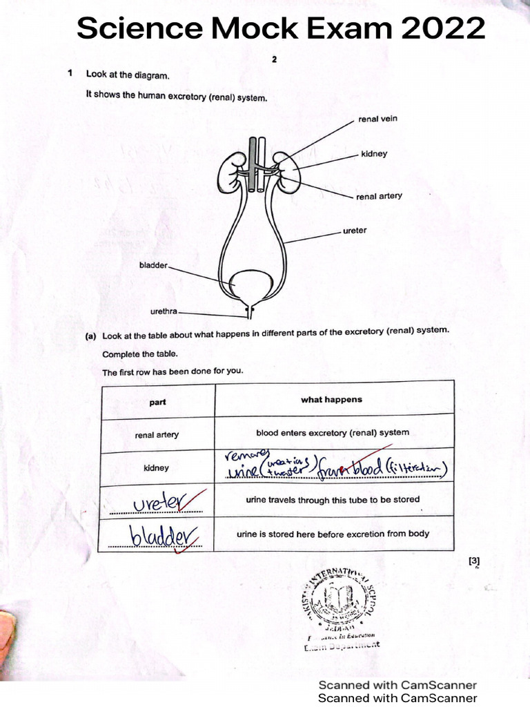 Science Mock Exam 2022 | PDF