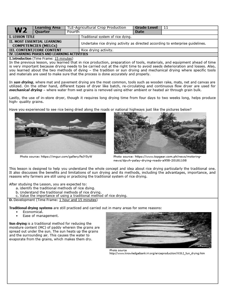 Q4 AFA Agricrop 11 Week 2 | PDF | Rice | Learning