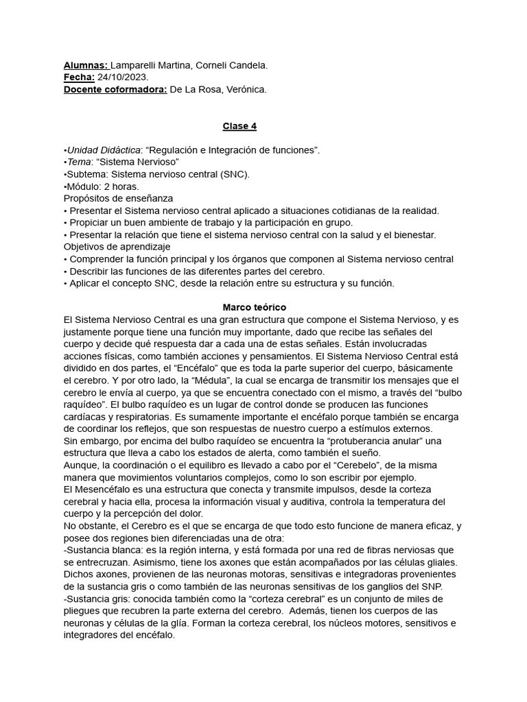 Clase 4 (2) | PDF | Cerebro | Hemisferio cerebral