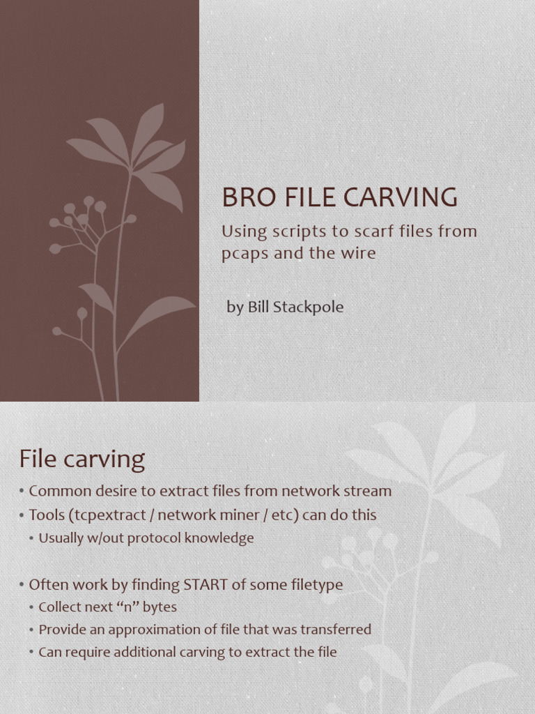 Bro File Carving for Network Analysis | PDF | Software Engineering ...